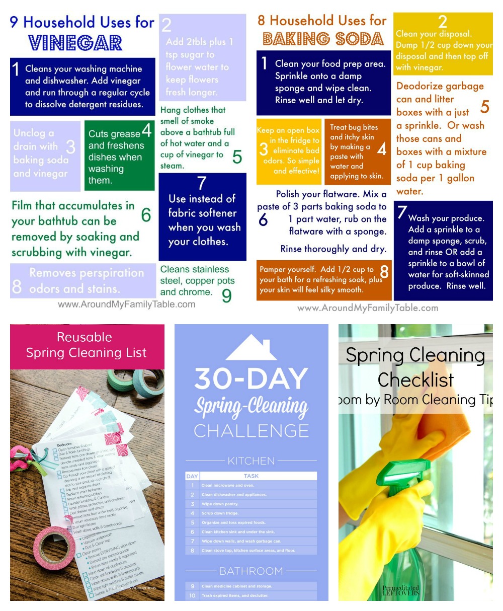 25 Spring Cleaning Tips & Tricks - Around My Family Table
