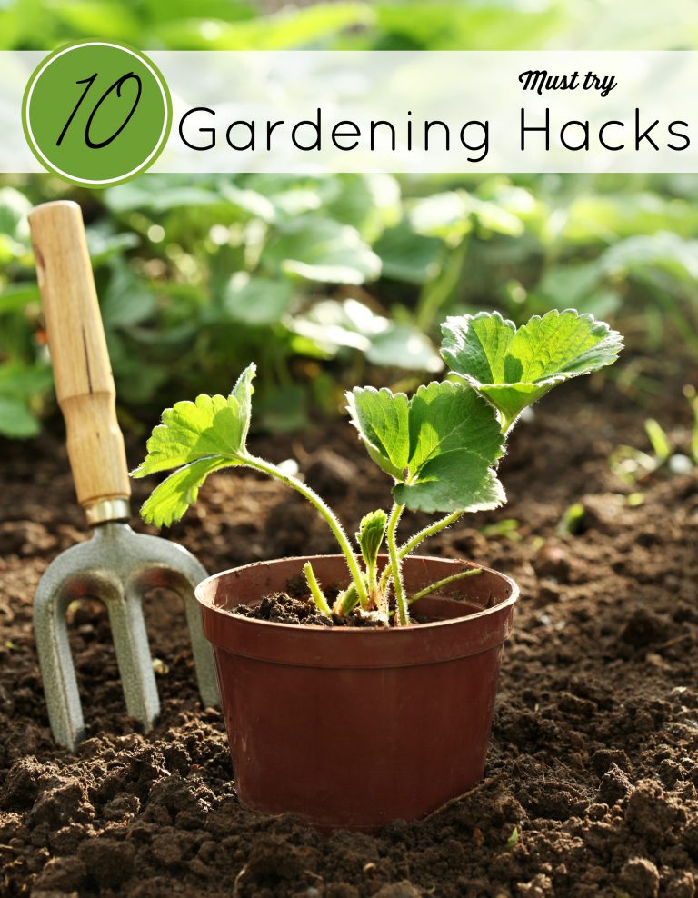 10 Must-Try Gardening Hacks - Around My Family Table
